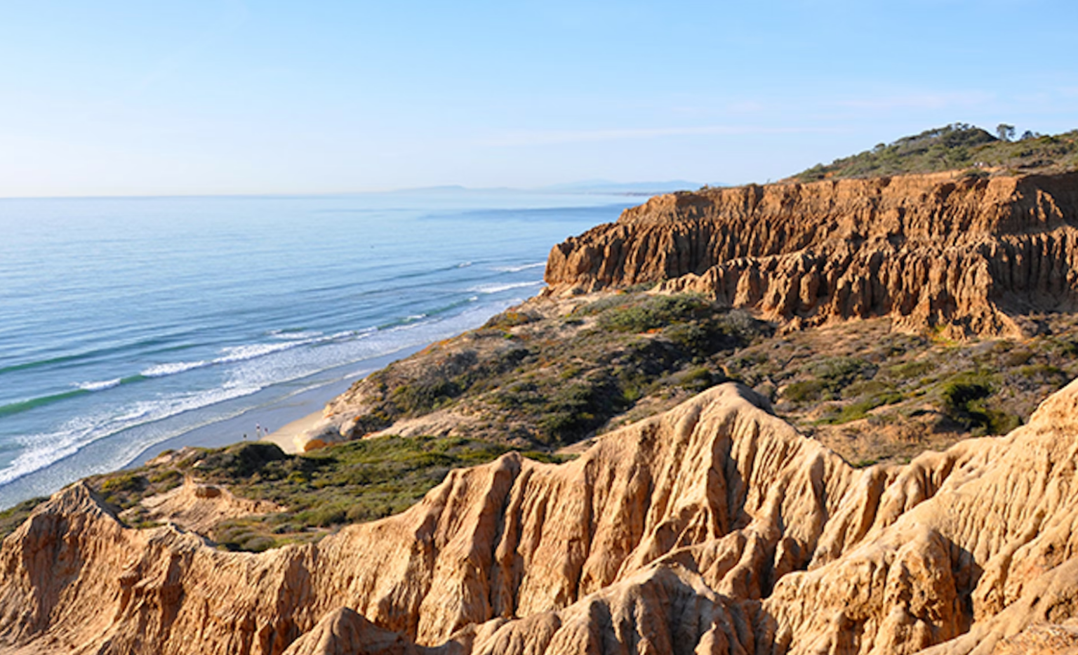 Sage Oak Charter Schools