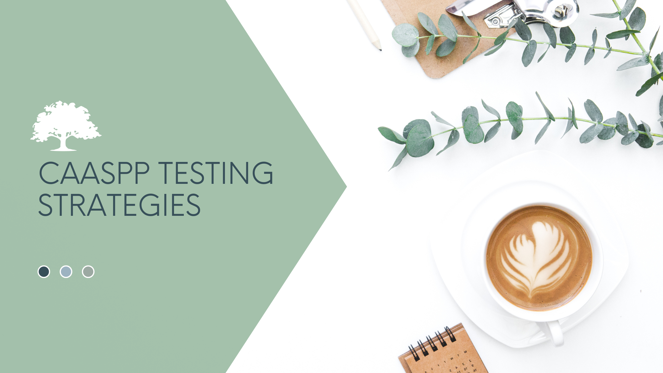 CAASPP Testing Strategies - Sage Oak Charter Schools